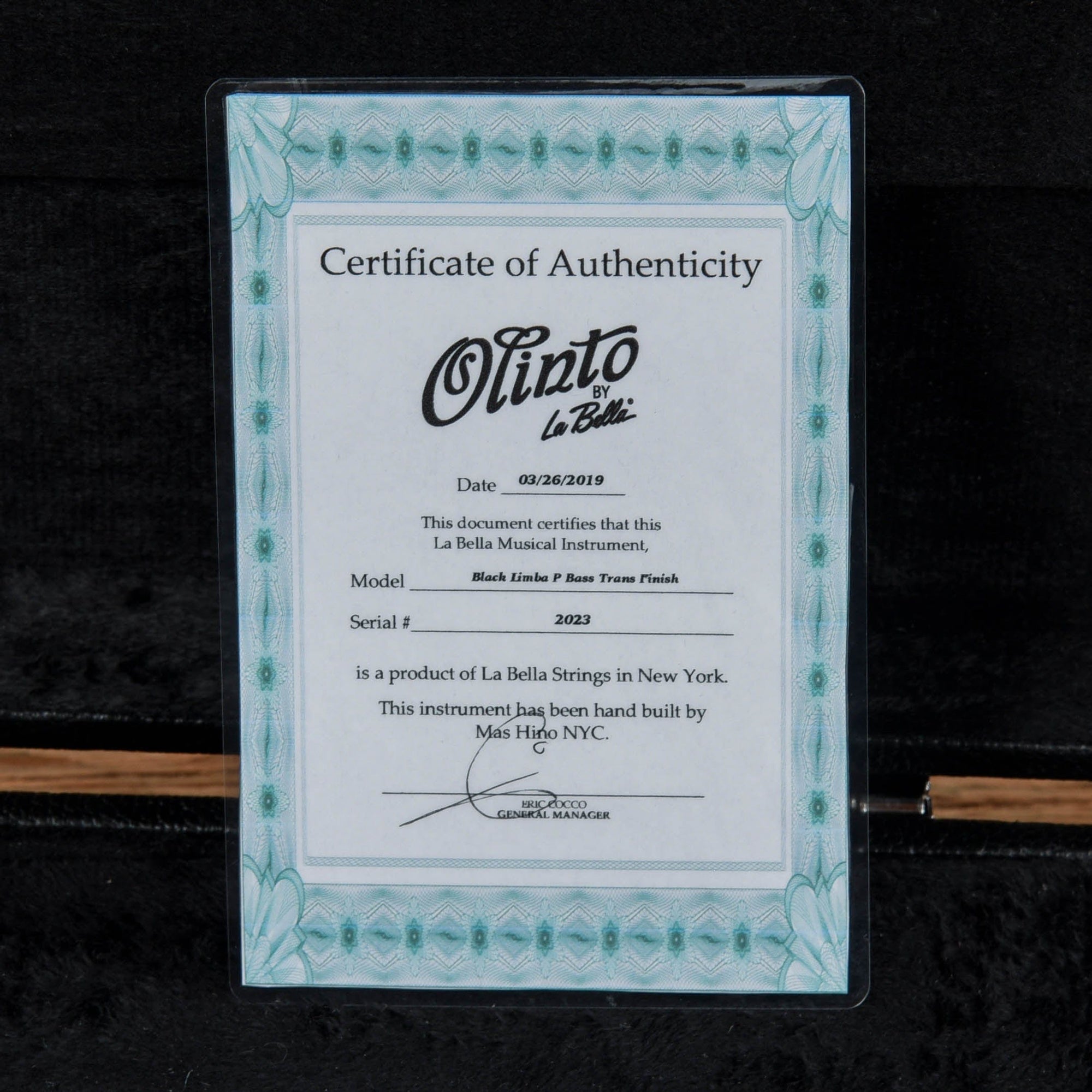 La Bella Olinto Black Limba Bass Transparent Matte w/Gold Anodized Pic ...