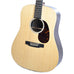 Martin DX1RAE Dreadnought Sitka Spruce/Rosewood – Chicago Music Exchange