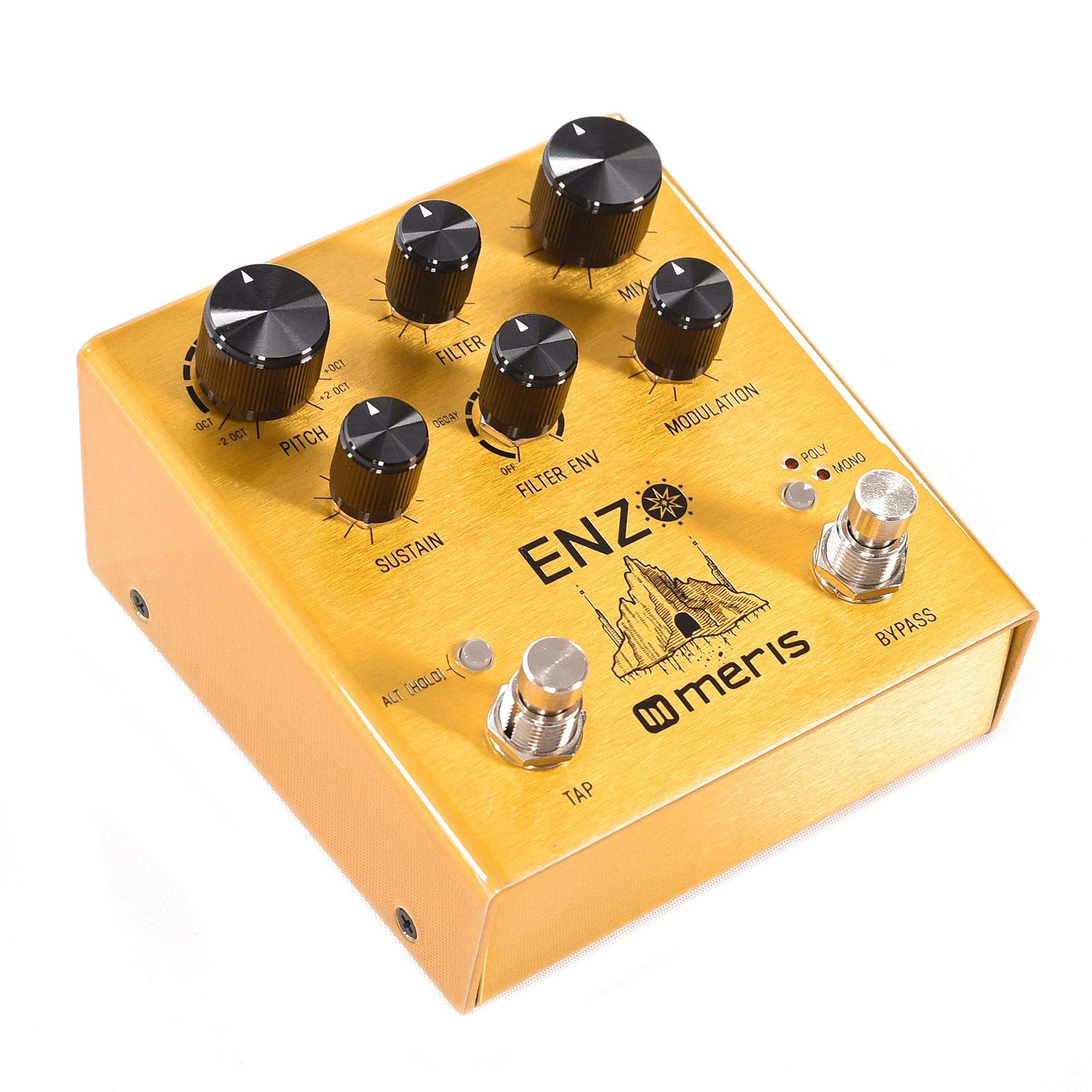 Meris Enzo Multi-Voice Synthesizer Pedal – Chicago Music Exchange