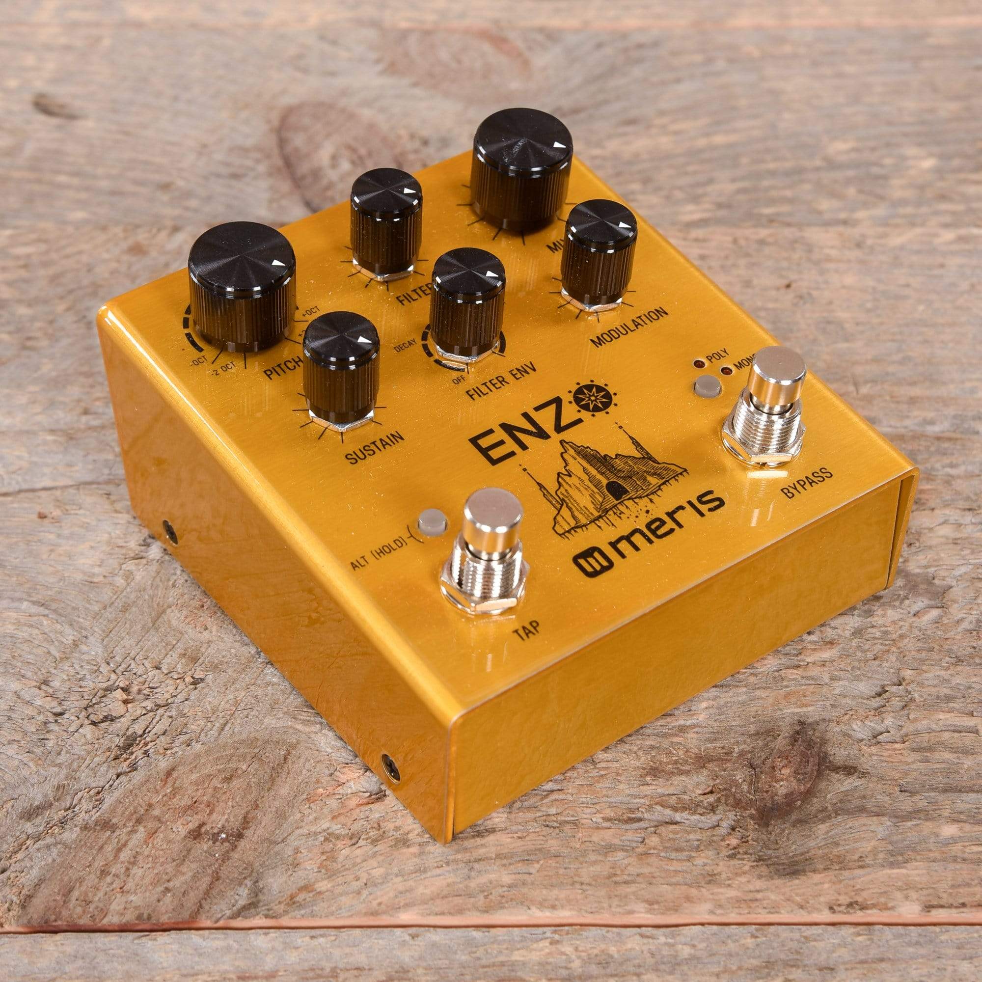 Meris Enzo Multi-Voice Synthesizer Pedal – Chicago Music Exchange