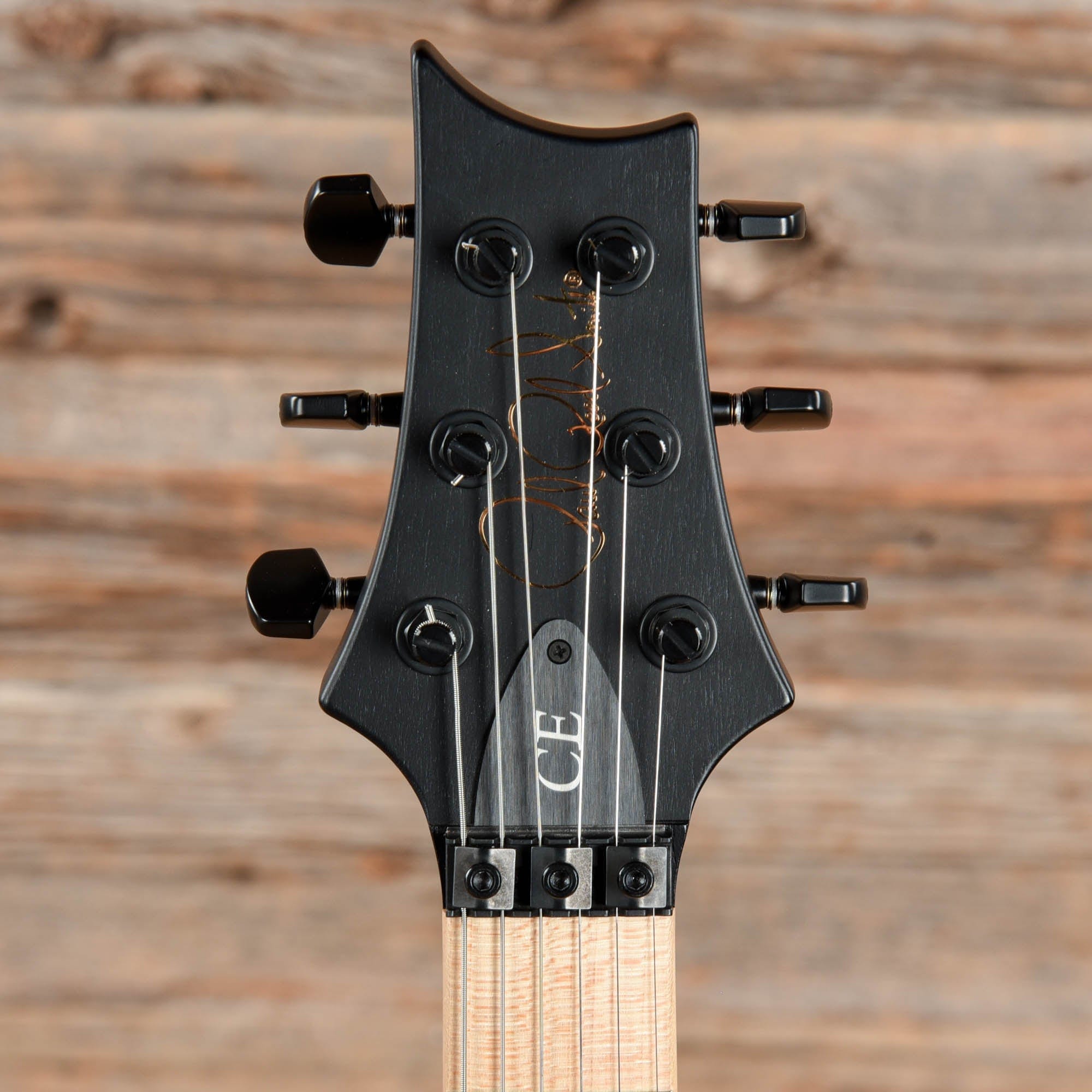 PRS Dustie Waring Signature CE 24 Floyd Grey Black 2020 – Chicago Music ...