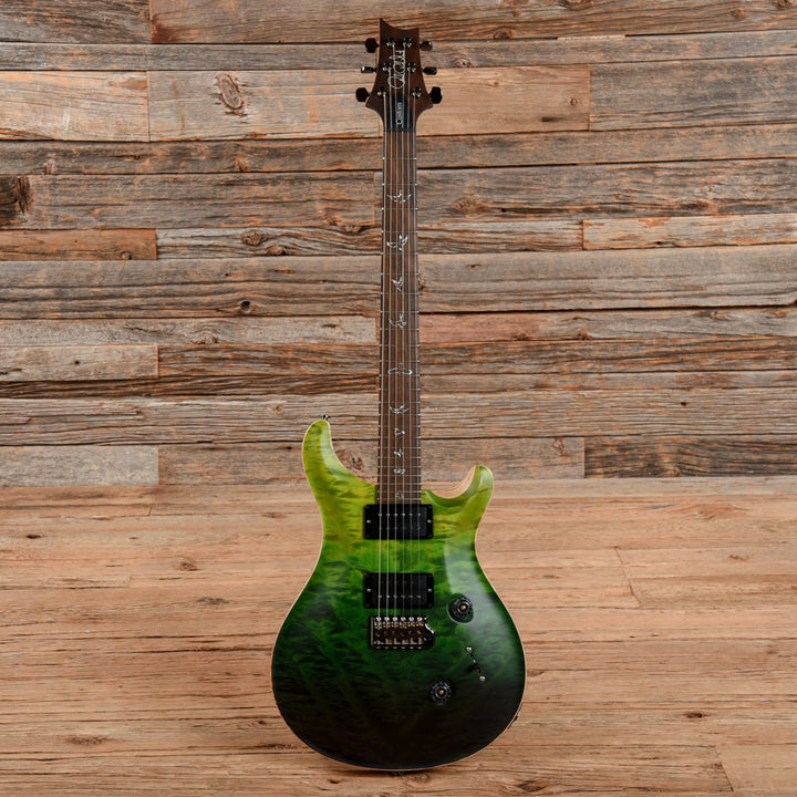 PRS Wood Library Custom 24 w/Brazilian Rosewood Fretboard Green Fade 2 ...