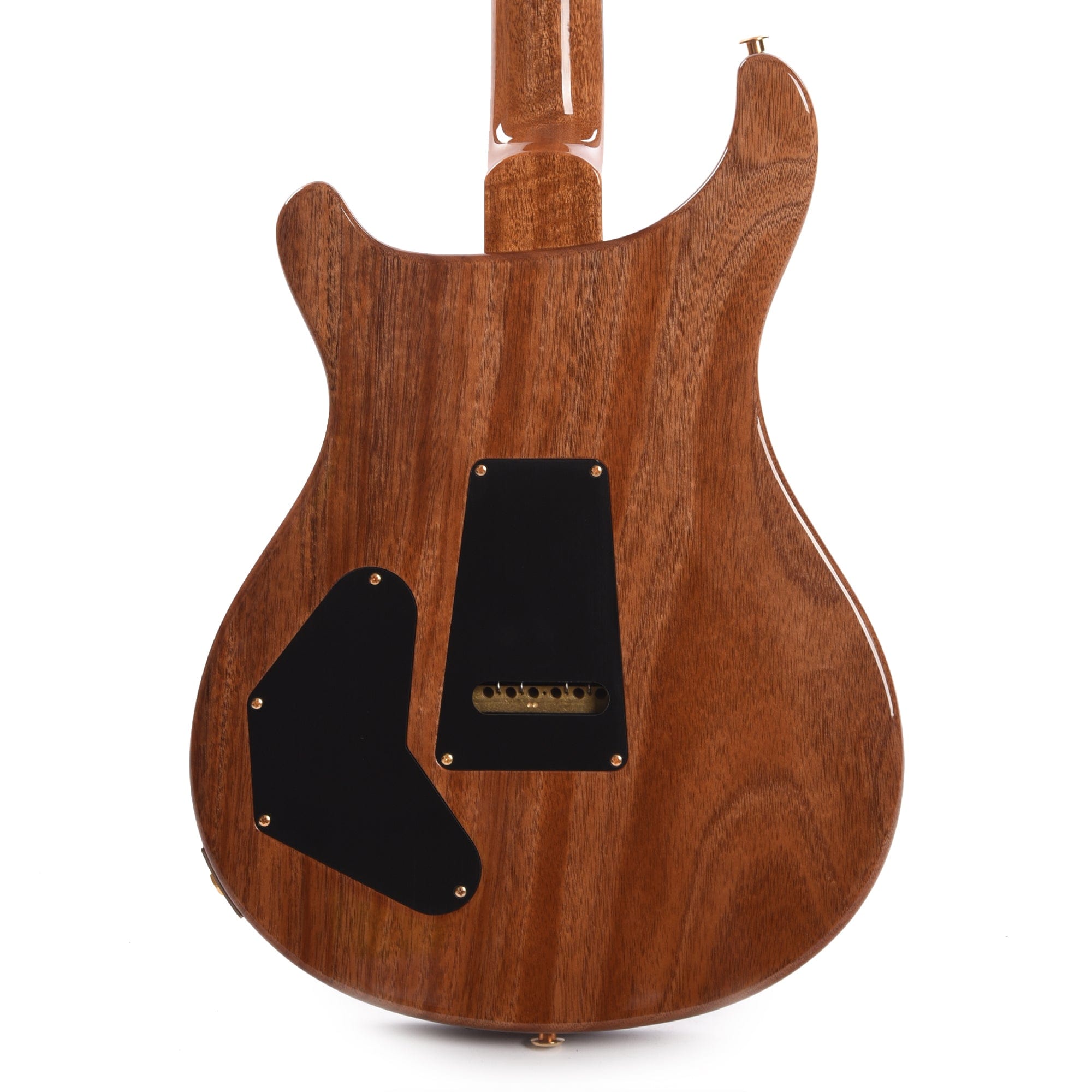 PRS Wood Library DGT 10-Top Quilt Aquableux Micro Burst w/Cobalt Blue ...