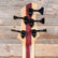 Roscoe LG 3005 Cocobolo – Chicago Music Exchange
