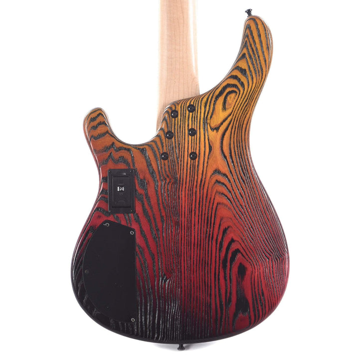 Sandberg Basic VM5 Zebra 3-Tone Sunburst Ebony Fingerboard w/Matching ...