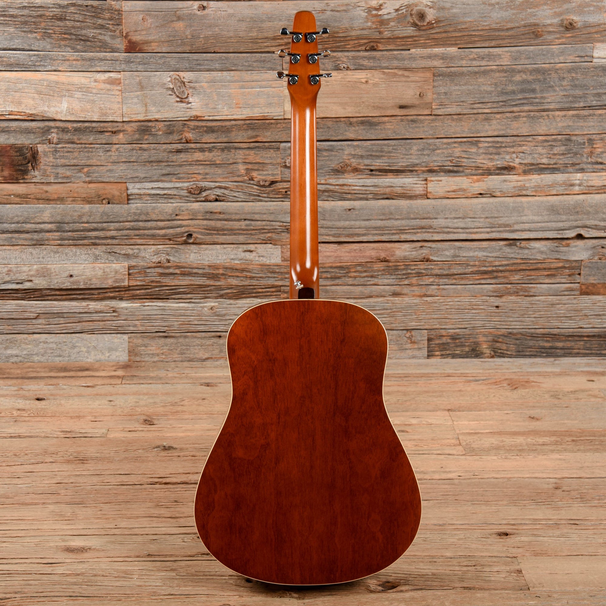 Seagull Coastline S6 Cedar GT Natural – Chicago Music Exchange