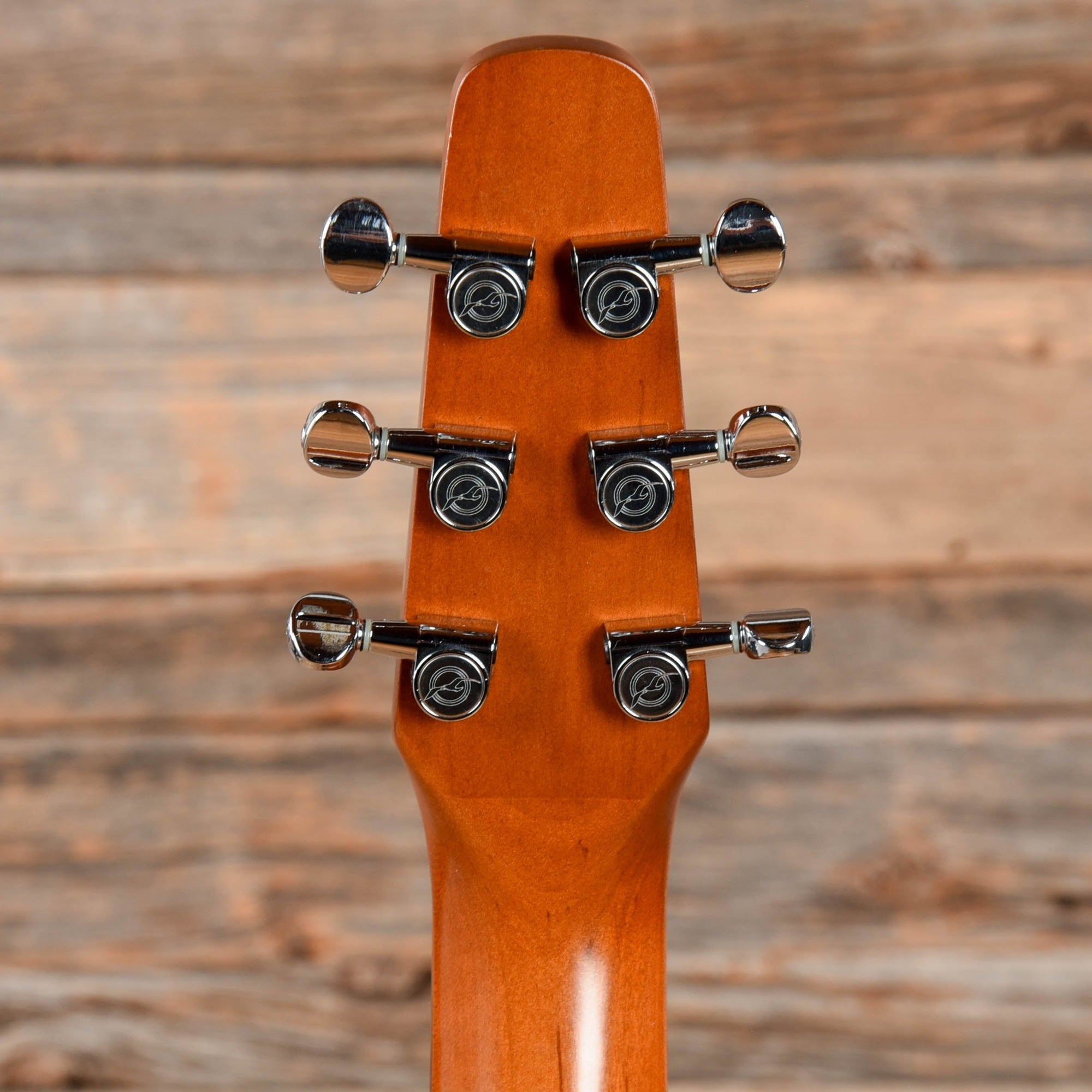 Seagull Coastline S6 Cedar GT Natural – Chicago Music Exchange