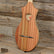 Seagull Merlin Natural Mahogany Semi-Gloss – Chicago Music Exchange