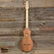 Seagull Merlin Natural Mahogany Semi-Gloss – Chicago Music Exchange