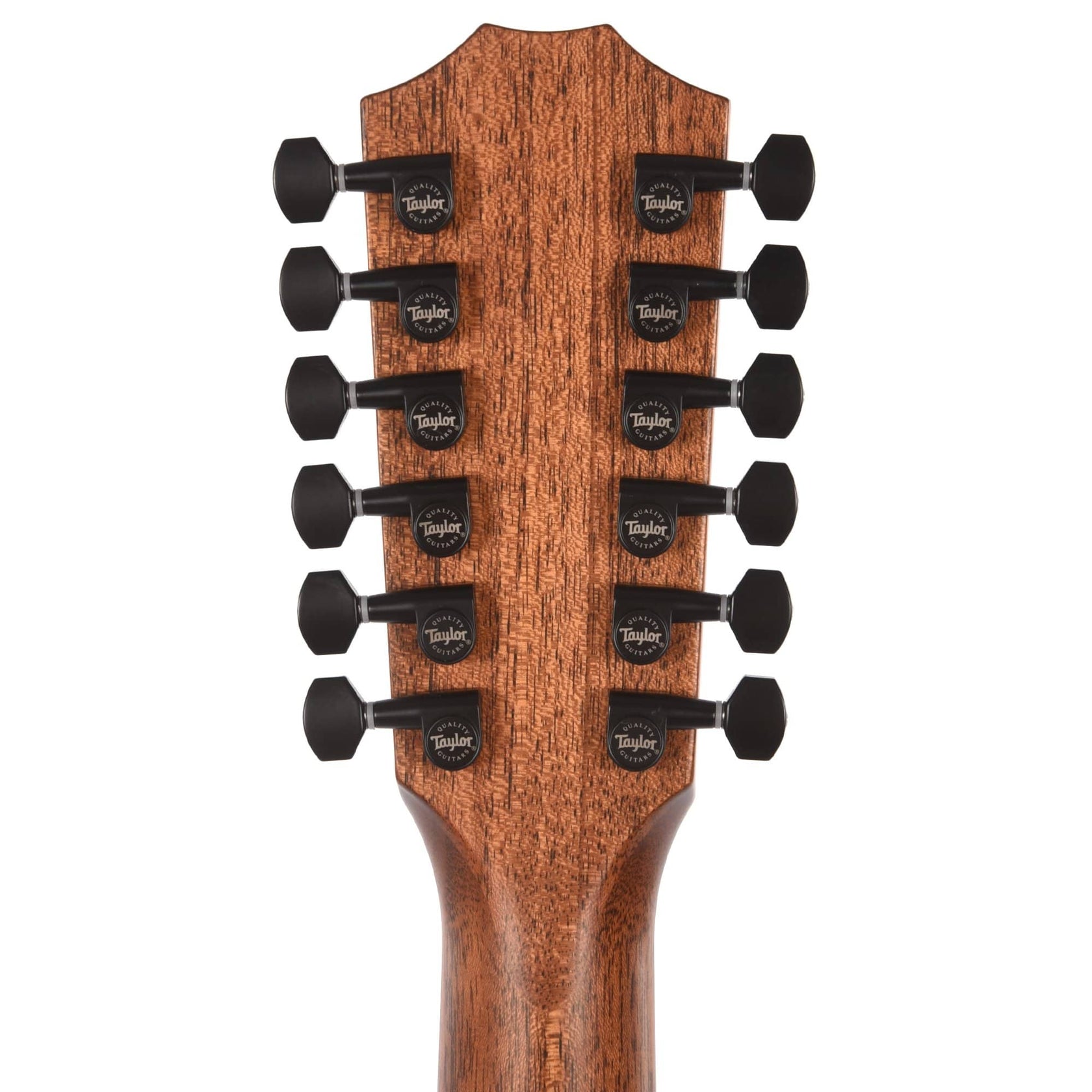 Taylor 362ce Grand Concert 12-String Tropical Mahogany/Tasmanian Black ...