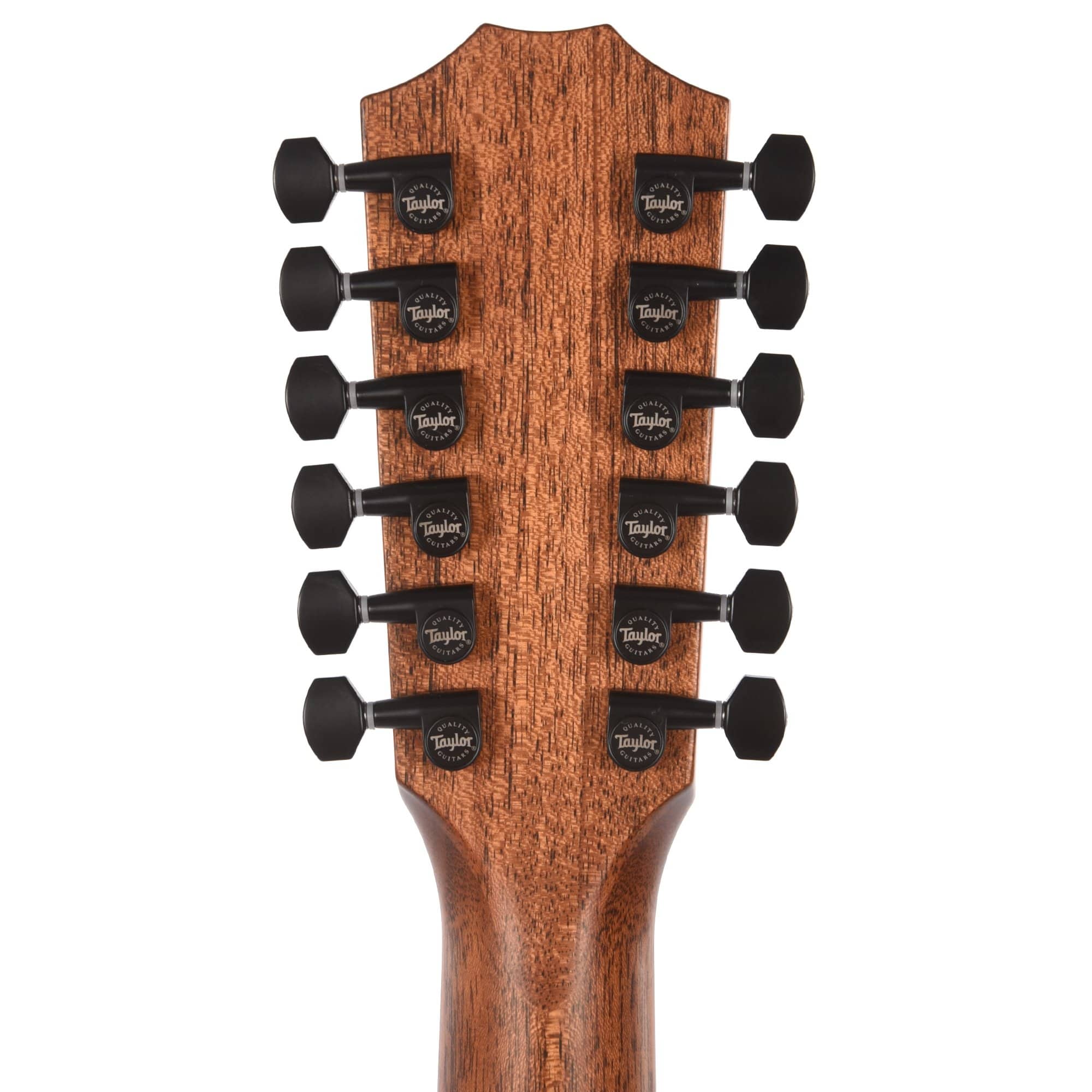 Taylor 362ce Grand Concert 12-String Tropical Mahogany/Tasmanian Black ...