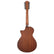Taylor 362ce Grand Concert 12-String Tropical Mahogany/Tasmanian Black ...