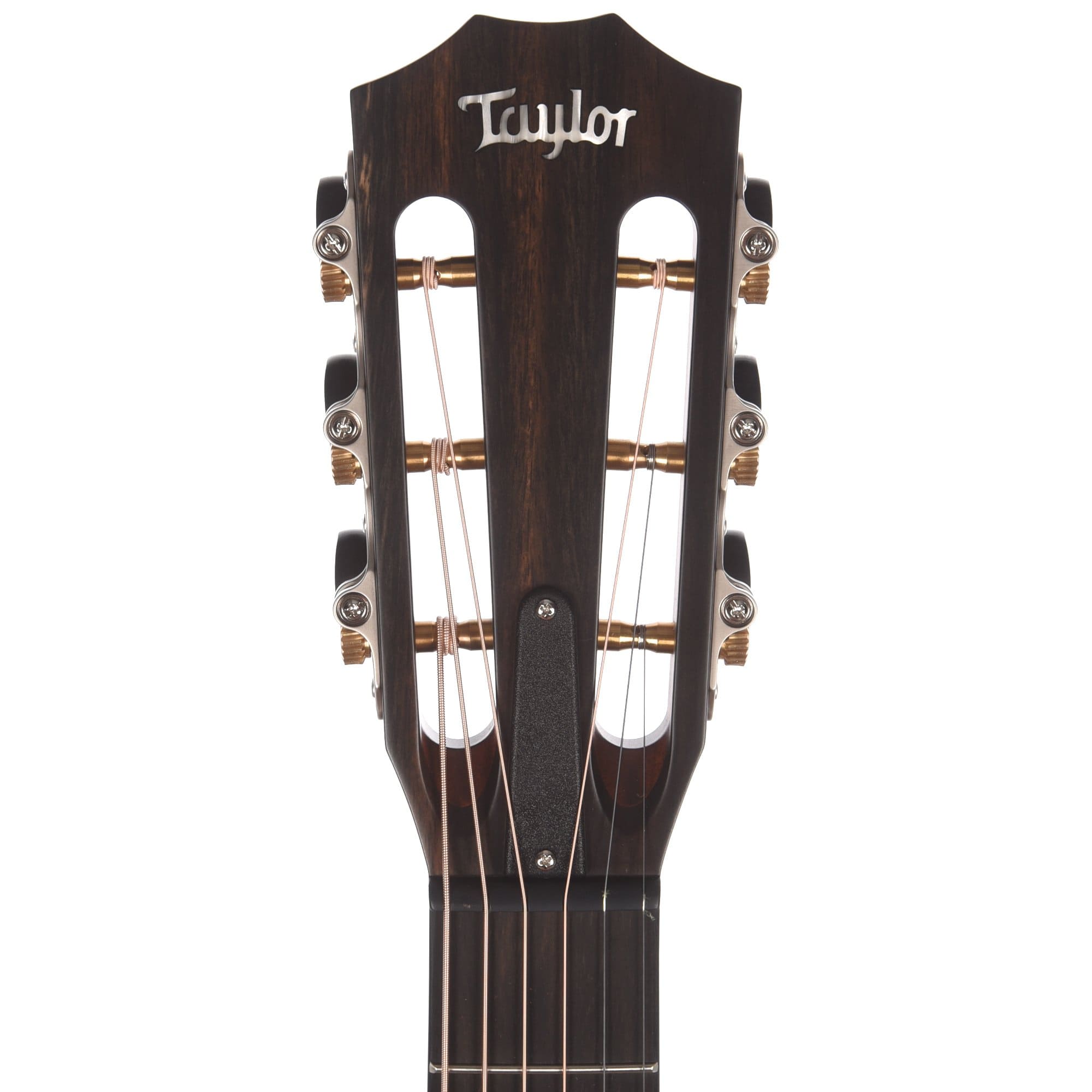 Taylor 322ce 12-Fret Grand Concert Tropical Mahogany/Tasmanian Blackwo ...