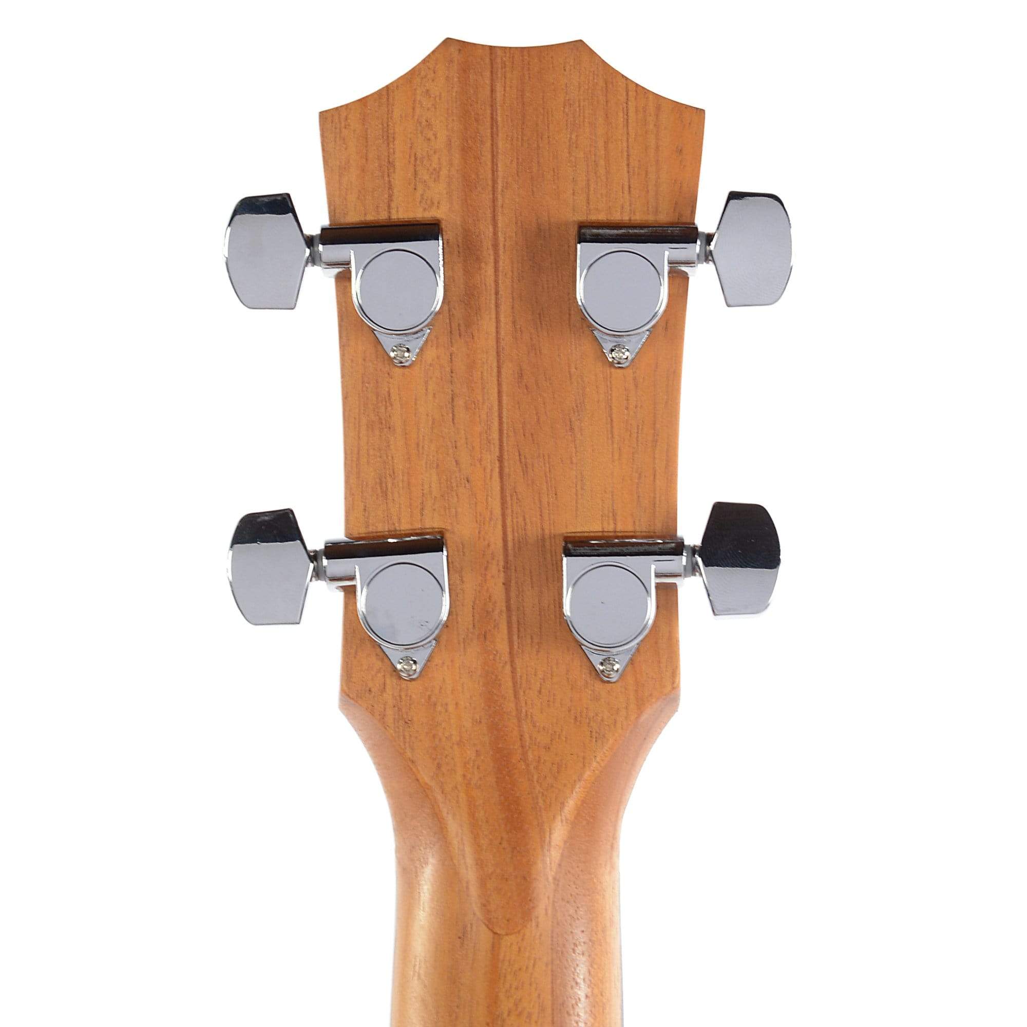 Taylor GS Mini-e Bass ES-B – Chicago Music Exchange