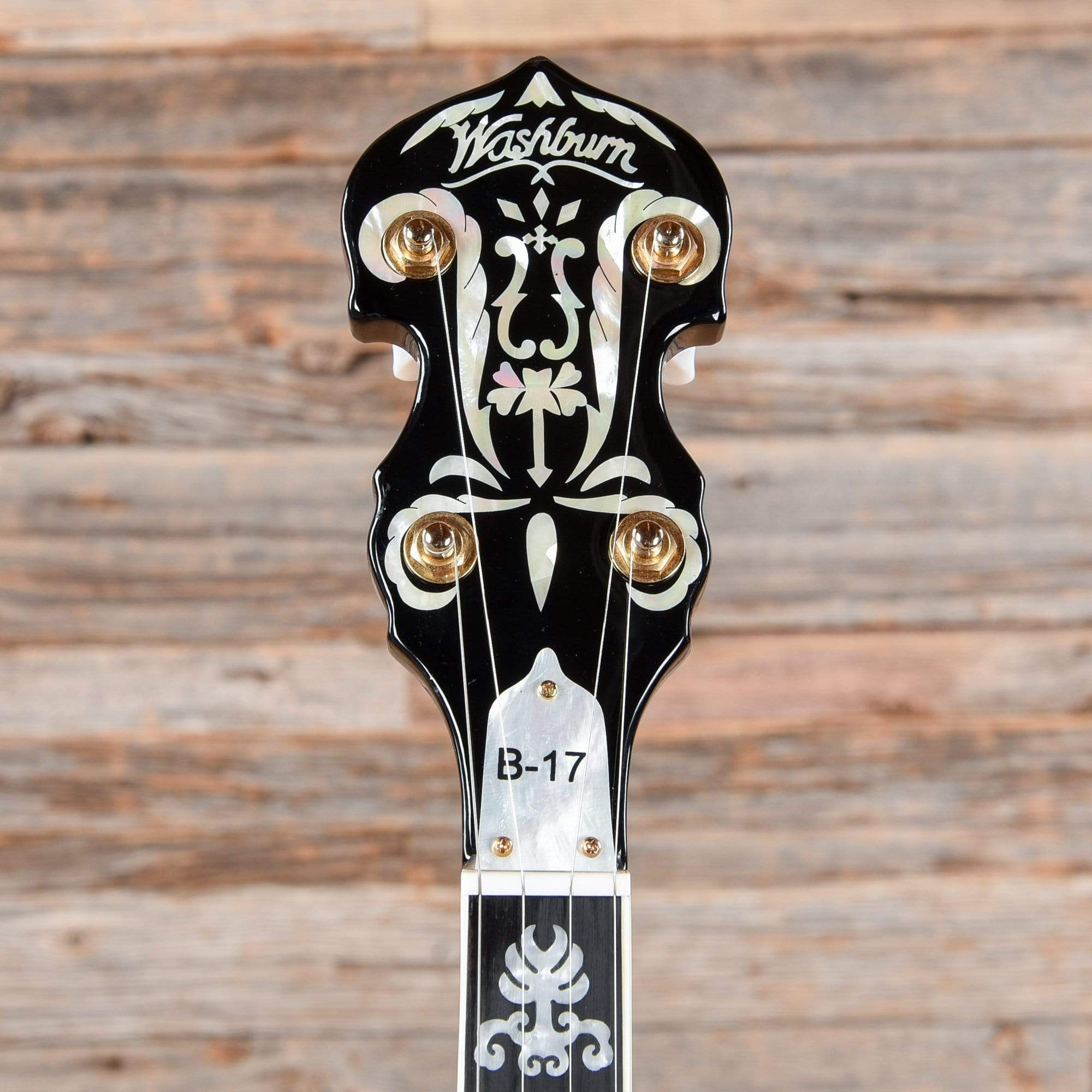 Washburn Americana B17 5-string Resonator Banjo Grey Burst – Chicago ...