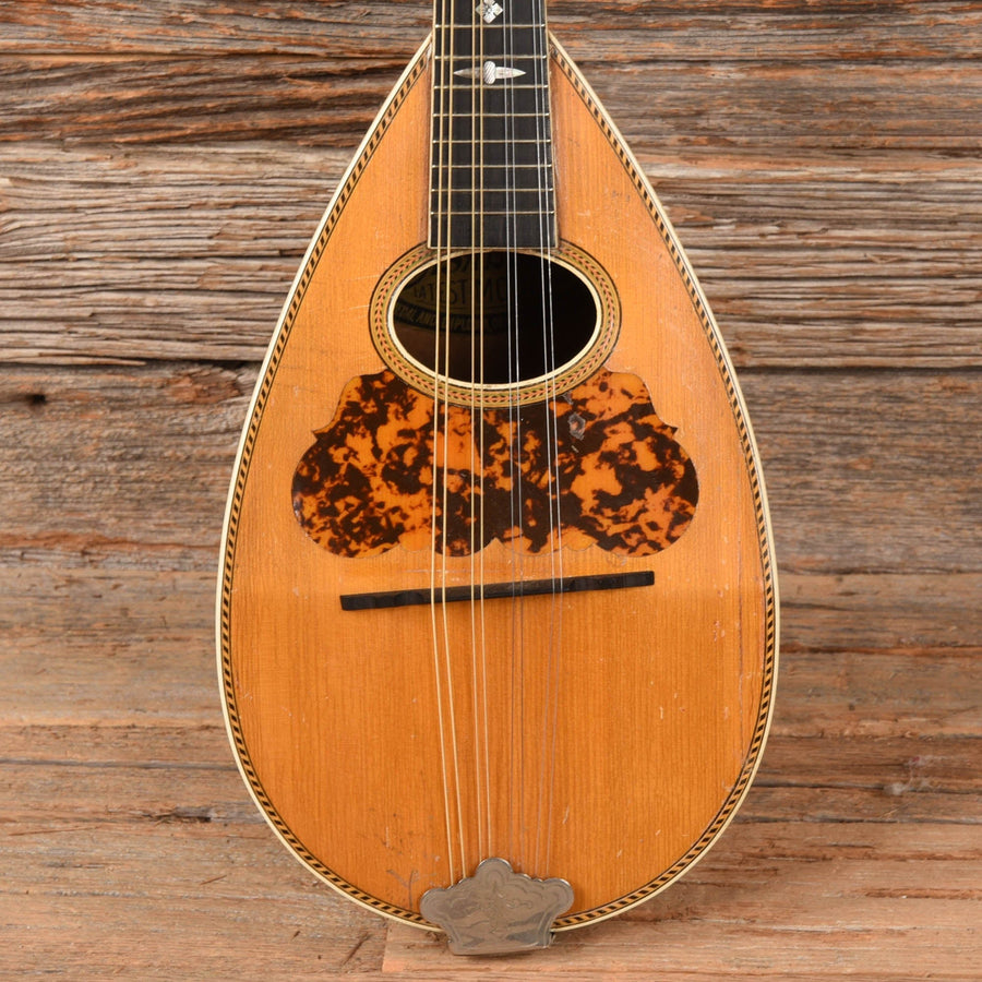 Folk Instruments - Mandolins – Chicago Music Exchange
