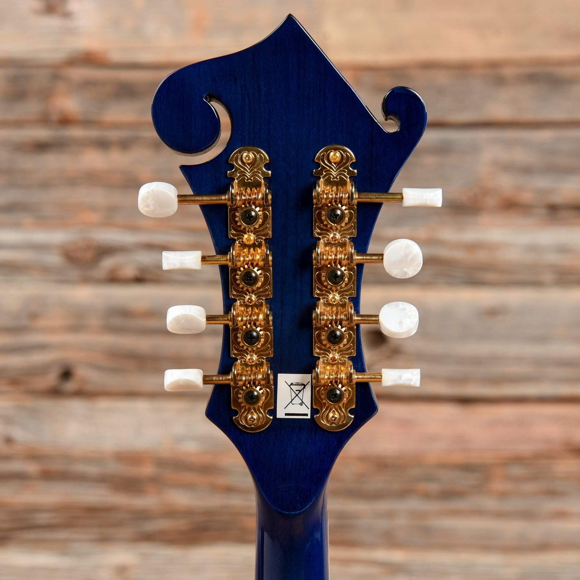 Washburn MISDL-TBL Mandolin Transparent Blue – Chicago Music Exchange
