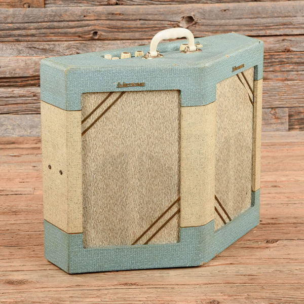 Watkins Dominator – Chicago Music Exchange